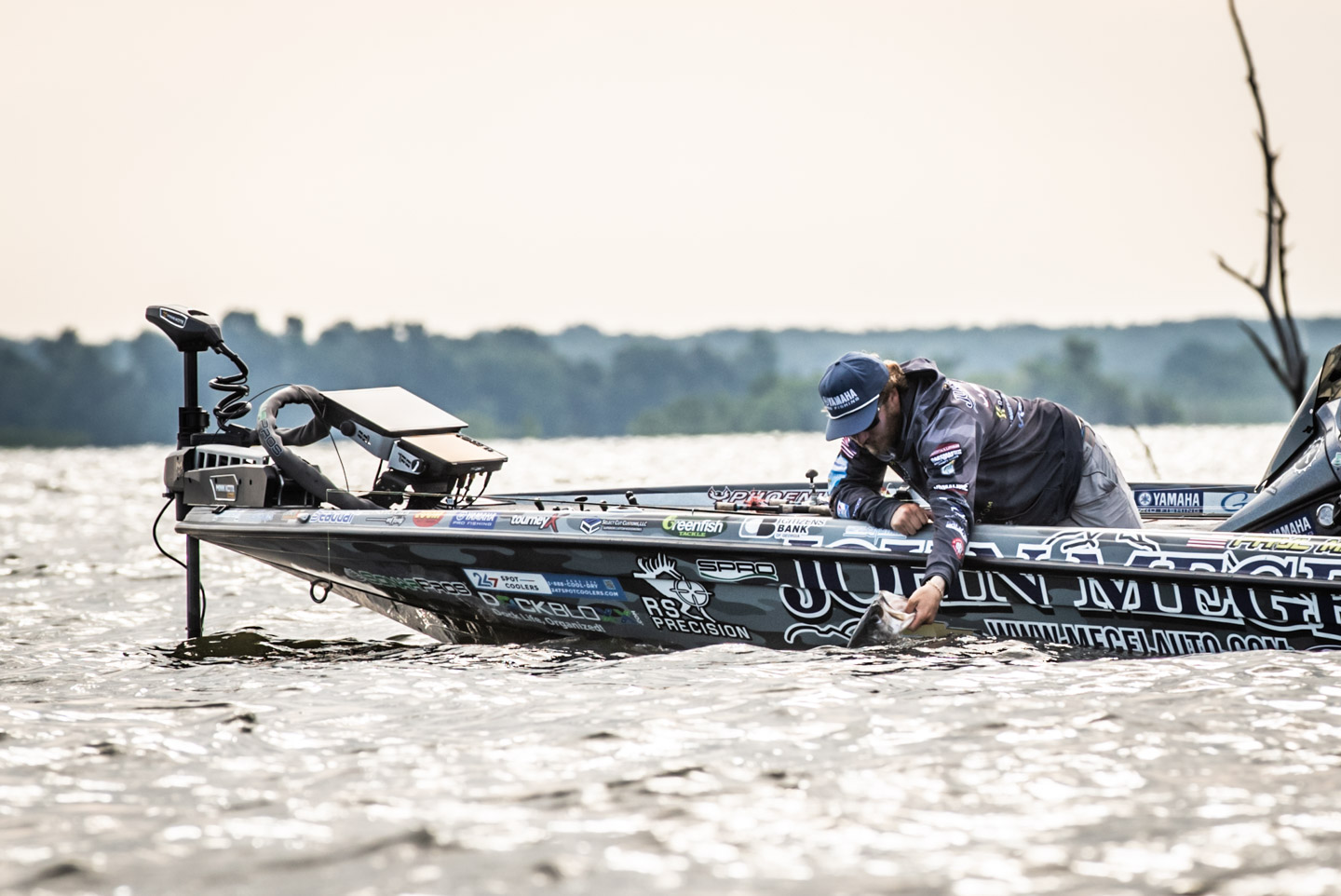 Making moves with Marks - Fish Crusade