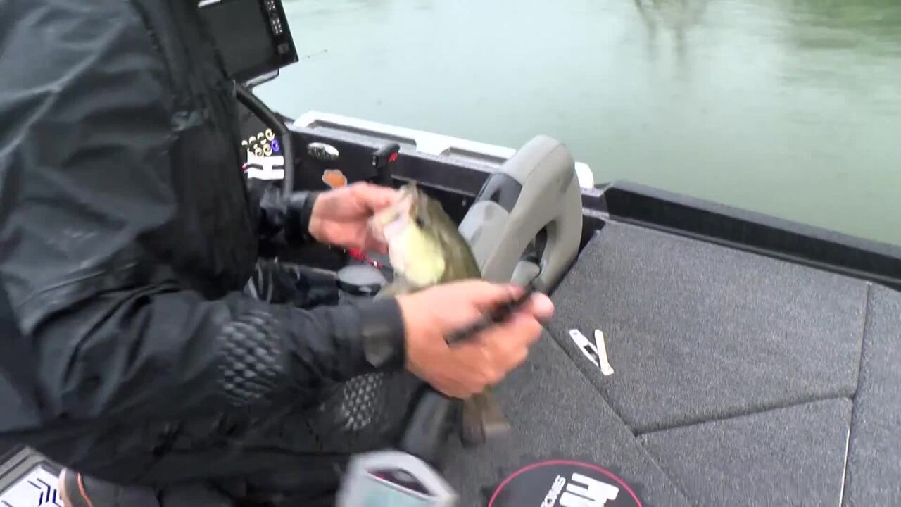 Bob Downey swimming a jig in the rain - Bassmaster