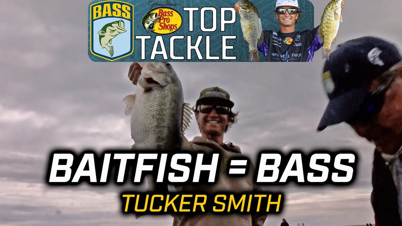 Top Tackle: Channel swings, pinch points for winter feeding bass ...