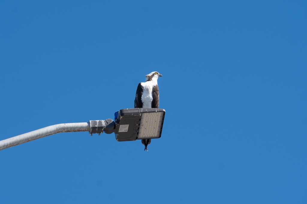 College: Registration at Okeechobee - Bassmaster