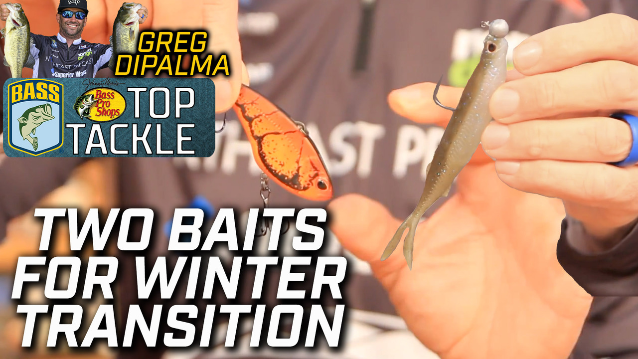 Top Tackle: Choosing two baits for winter transition - Bassmaster